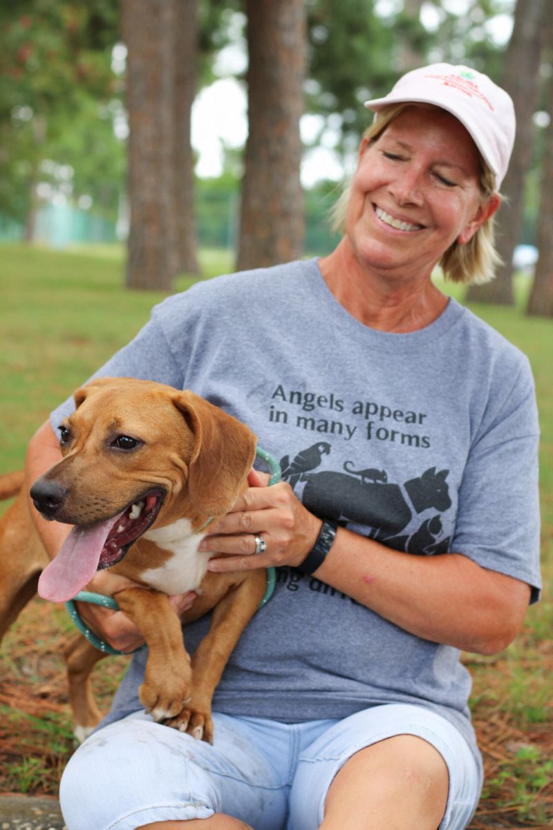 Job Opportunities - Grand Strand Humane Society